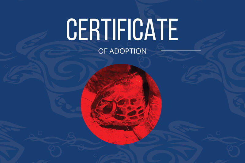 Our Projects | Yayasan Kossan - We Care • We Love • We Help